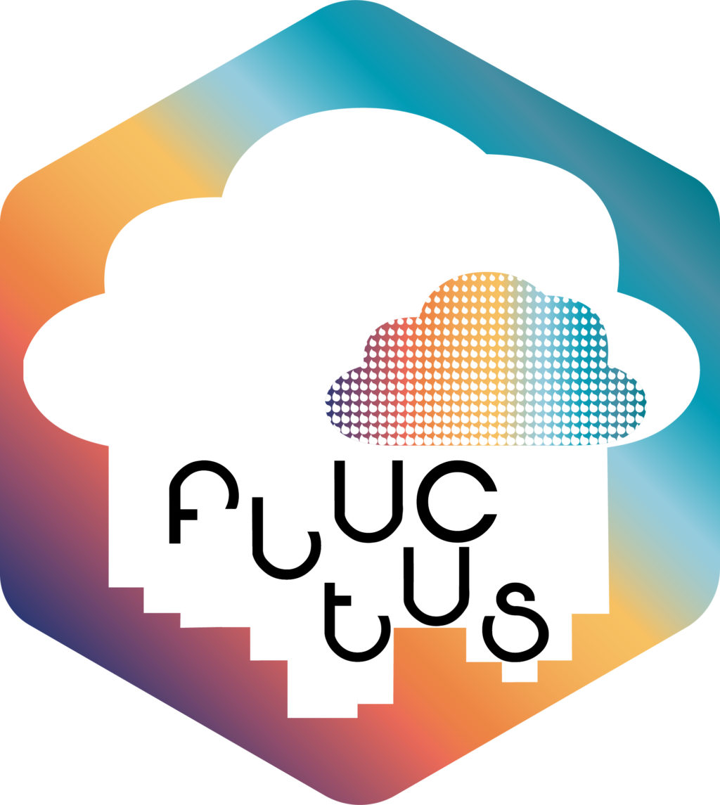 Fluctus: first year achievements - Fluctus SAS